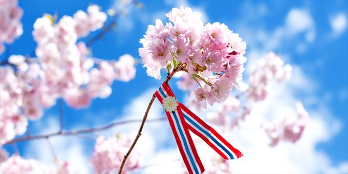 Norges nasjonaldag 17. mai i Oslo: Offisielt program